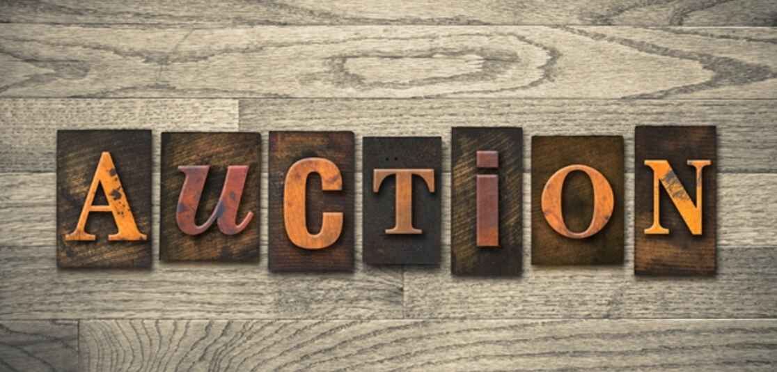 THE ULTIMATE AUCTION GUIDE